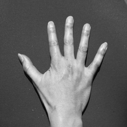 Sukandar Kartadinata – Bicrophonics